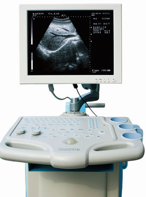 Trolley human B mode ultrasound scanner on sales - Quality Trolley ...